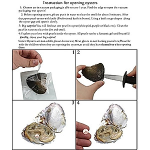 10PC Freshwater Pearl Cultured Love Wish Pearl Oyster with Round Pearl Inside for Pearl Gift Fun for Children Family Friends Party Oyster with Pearls Inside(7-8mm, 10PC)