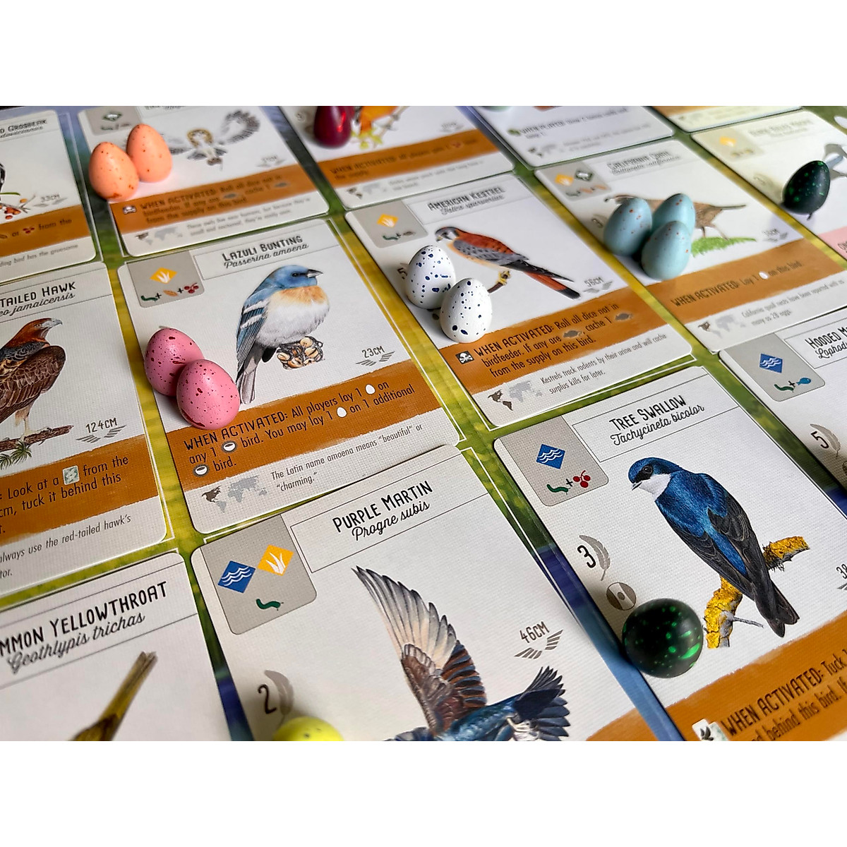 Stonemaier Games: Wingspan Speckled Eggs | Add to Wingspan (Base Game or Asia) | Enhance Your Wingspan Gameplay | 100 Speckled Eggs in 10