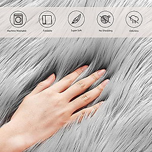 Teppich Wölkchen Faux Fur Rug | Sheep Skin Throw Rug | Washable Fluffy Area Rug, Fuzzy Shag Rug for The Living Room, Bedroom, Nursery Decor I Gray - 2x3ft Sheepskin