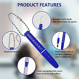 Portable Travel Toothpick Dental Tool, Stainless Steel Toothpick and Emery Stain Eraser, Metal Toothpick, Teeth Cleaning Plaque Remover Stain Remover with Chain (2)