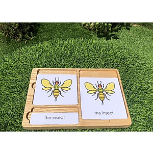 KIHACO Display Tray for Three Part Card Montessori