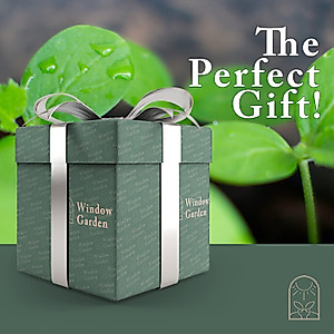 Window Garden Mini Greenhouse Seed Starter Kit – Reusable Seedling Trays - Indoor Germination Tray with Humidity Dome and Soil Pods - Windowsill Seeds Germinator - 30 Cells Starting Trays, 3 Pack