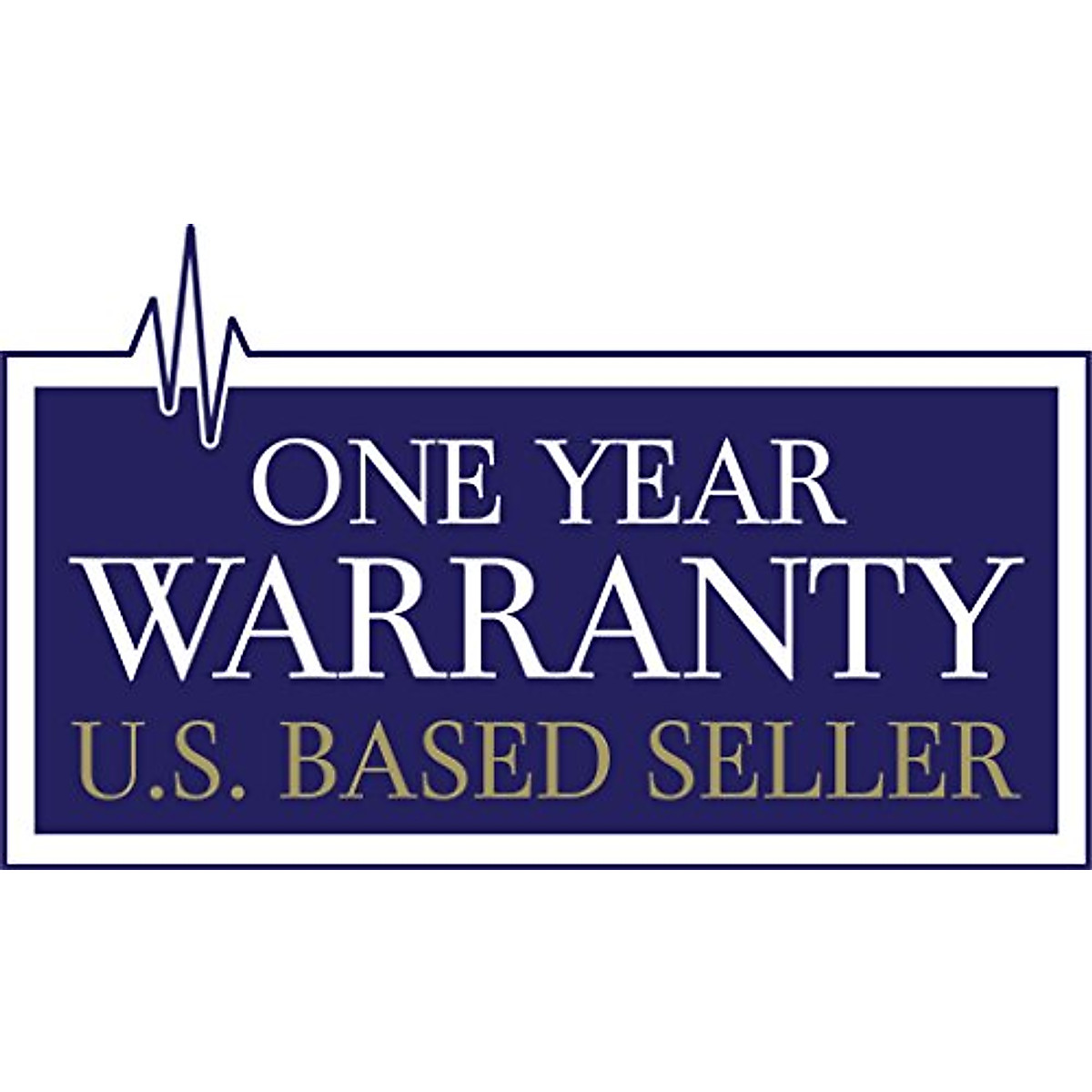 MonMed Life Size Vertebral Column Model with Spinal Nerves, Skull Base, and Pelvis – Flexible Spine Model with Stand