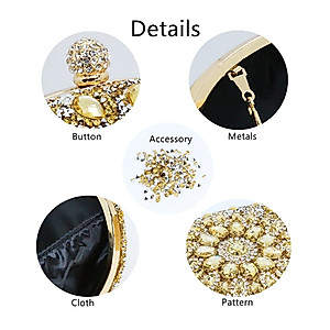 Pink Clutch Purses for Women Rhinestone Crystal Evening Bag Beaded Wedding Flower Handbag (773Fuchsia)