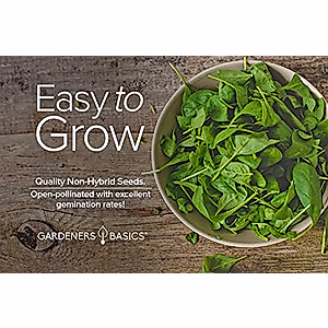 Bloomsdale Spinach Seeds for Planting is A Great Heirloom, Non-GMO Vegetable Variety- Great for Indoor, Outdoor and Hydroponics Gardening by Gardeners Basics