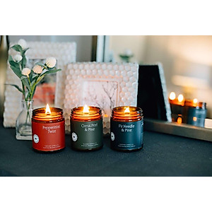 Fontana Candle Company - Cinnamon Orange Clove | Lightly Scented Candle | Made from Beeswax and Coconut Oil | Essential Oil | Wood Wick | Long Lasting | Clean Burn and Non Toxic