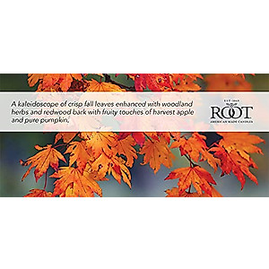 Root Candles Honeycomb Veriglass Beeswax Blend Scented Candle, Large, Fall Leaves