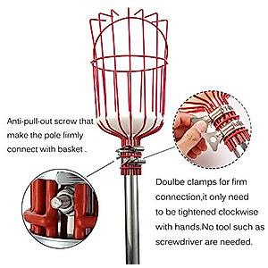 COCONUT Fruit Picker Tool, Fruit Picker with Basket and Pole Easy to Assemble & Use Fruits Catcher Tree Picker for Getting Fruits(5ft)