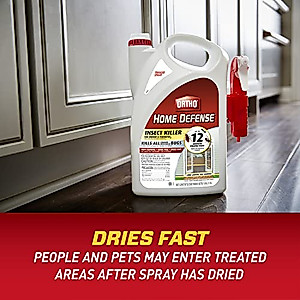 Ortho Home Defense Insect Killer for Indoor & Perimeter2 Ready-To-Use - With Trigger Sprayer, Long-Lasting Control, Kills Ants, Cockroaches, Spiders, Fleas & Ticks, Non-Staining, Odor Free, 1 gal.