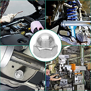 Piutouyar Acorn Cap Nuts Hex Nut 3/8-16, 304 Stainless Steel 18-8 Hex Dome Cap Nut (20Pcs)