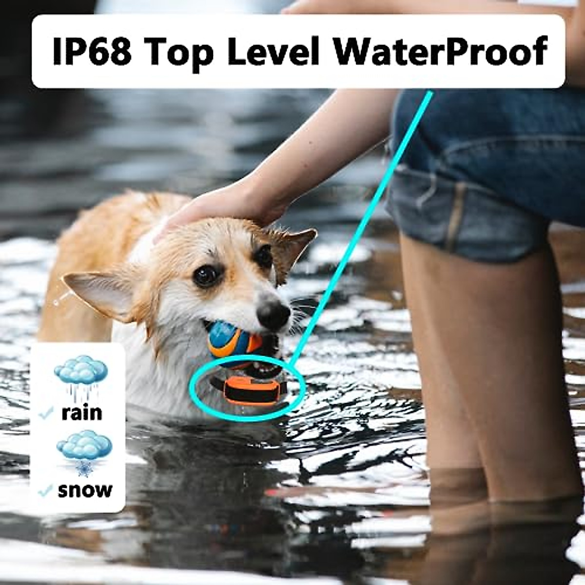 UltraCrab Indoor Pet Barrier for Dogs,Wireless Indoor Electric Fence,Pet Gate, Keeps Areas Off Limits,Dog Home Proofing, Waterproof/Rechargeable/Beep/Static Training Collar,Orange Kit