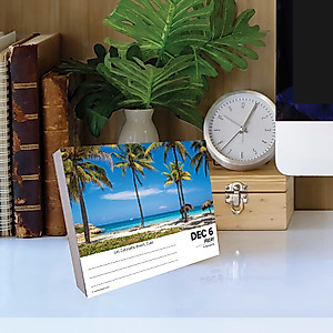 Willow Creek Press Ah, The Beach! Daily 2024 Box/Desk Calendar (5.86" x 4.72")