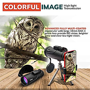 Roxant Falcon Monocular Telescope for Smartphone - 10x42 High Definition BAK4 Prism Focusing Scope - Monoculars for Adults - Includes Monocular, Phone Adapter, Mini Tripod, Case & Lens Cap