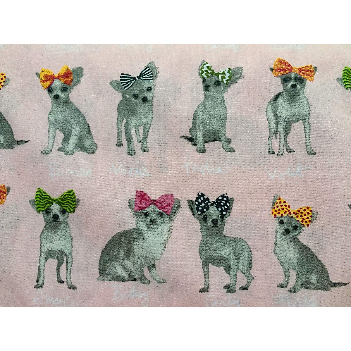 Chihuahua Dog 100% Cotton Poplin Fabric Print - Animal Dogs Material - 59'' Wide - Pink (Sold by The Yard)