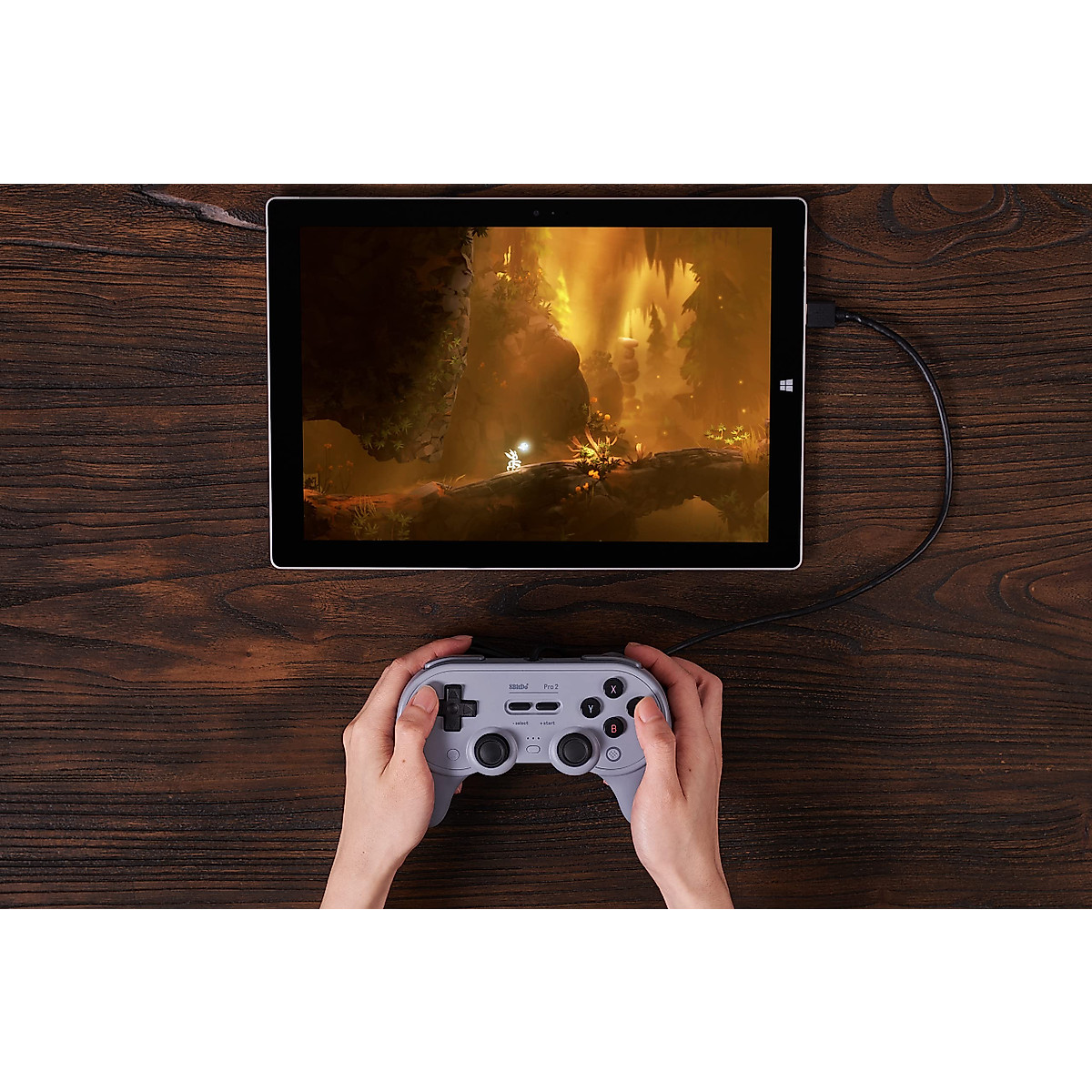 8BitDo Pro 2 Wired Controller for Switch, Windows, Steam Deck & Raspberry Pi (Gray Edition)