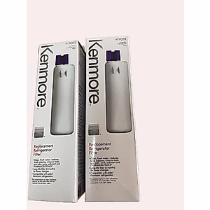 Kenmore Refrigerator Replacement 1, ,9930,9081 Water Filter, White, (2 PACKS)
