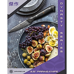 KESSAKU Paring Knife - 3.5 inch - Damascus Dynasty Series - Razor Sharp Kitchen Knife - Forged 67-Layer Japanese AUS-10V High Carbon Stainless Steel - G10 Garolite Handle with Blade Guard