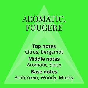 Milton-Lloyd Colour Me Volt - Cologne for Men - Aromatic Fougere Fragrances - Mens Cologne - Long Lasting Perfume for Men - Eau de Parfum - 3 oz