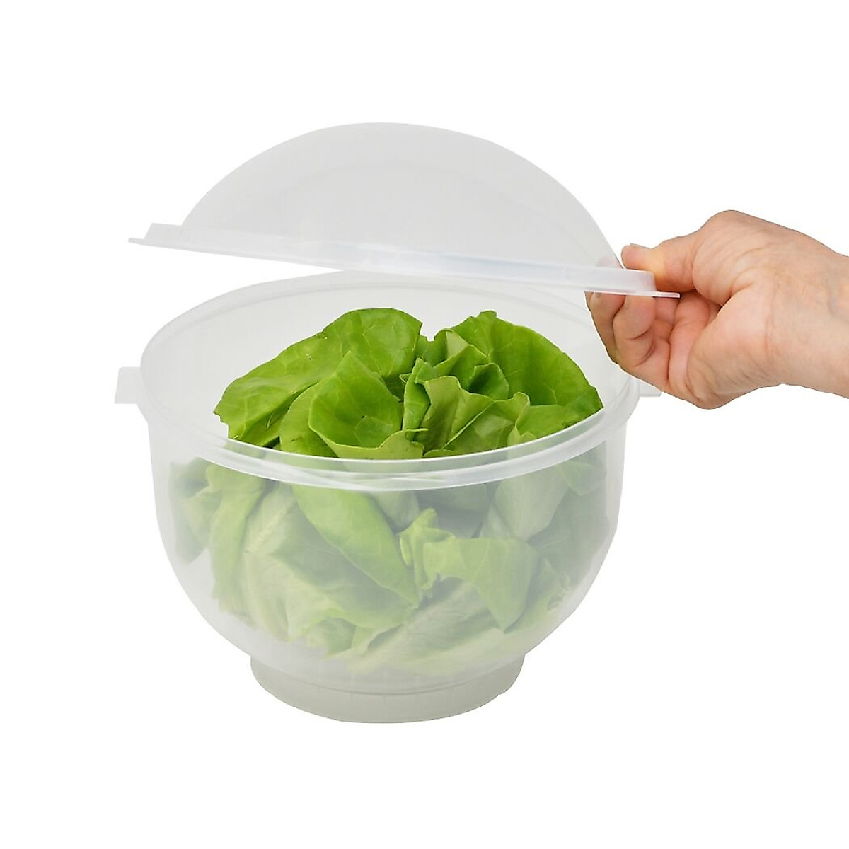 Lettuce Keeper | Vegetable and Fruit Crisper | Lettuce Crisper Salad Keeper Container Keeps your Salads and Vegetables Crisp and Fresh-7" X 8"- by Home-X