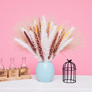 Pampas Grass 100Pcs Dried Pampas Grass Decor Fluffy Pompous Grass Mini Dried Flower Bouquet for Boho Home Decor
