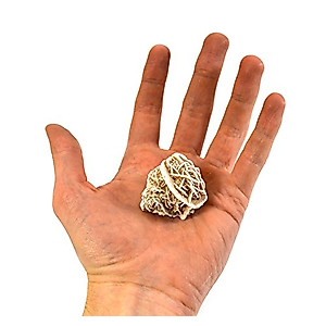 2" Desert Rose Specimen (Selenite), Single Piece