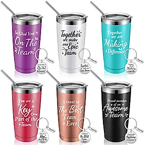 Dandat Employee Appreciation Gifts Bulk Thank You for Coworkers Stainless Steel Wine Tumbler with Lid and Straw 20 oz Insulated Wine Cups Wine Glasses Bulk with Keychain (Bright Colors, 6 Sets)