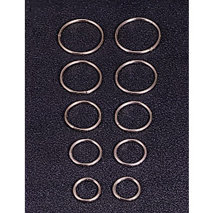 Xnsjeyy 16G Stainless Steel Nose Rings Hoops Hinged Clicker Septum Ring Lip Ring Cartilage Tragus Earrings Body Piercing Jewelry for Women Rose Gold