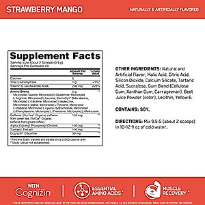 Optimum Nutrition Essential Amino Energy Advanced Plus Metabolism and Focus Support, Strawberry Mango, 20 Servings, 6.7 Ounce (Pack of 1)