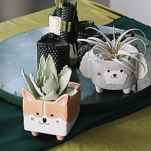 1pc outdoor planter dog flower planter containers porcelain flower planter ceramic cactus plant pots cartoon pots mini vases for flowers Ceramic Pot for Succulent pet decorations
