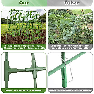 Tetutor Cucumber Trellis for Raised Bed 65"×48", Garden Arch Trellis for Climbing Plants Outdoor, Metal Garden Trellis for Vegetables, Cucumber Trellis for Tomato, Bean, Pea, Grape, Plant, Squash