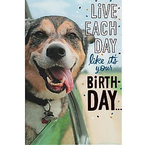 Cute Dog Riding in Car With His Face Hanging Out the Window Happy Birthday Card - Live Each Day Like It's Your Birthday... Relax... Have Fun... Enjoy the Ride.