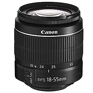Canon EOS 2000D / Rebel T7 Digital SLR Camera 24.1MP with EF-S 18-55mm f/3.5-5.6 Lens + ZeeTech Accessory Bundle, SanDisk 64GB Memory Card, Wire Remote Control, Case and Flash (Renewed)