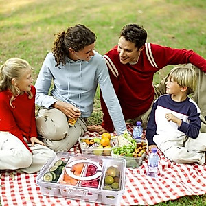 Shulgf Divided Snack Tray with Lid - 4-Compartment Travel Snack Container, Ideal for Beach, Picnics, Veggie Tray, and Snack Organizer for Fruits and Nuts