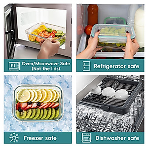 ECO-TOGO Airtight Glass Food Storage Containers with Lids, Glass Lunch Box, Leak-proof, BPA-Free, Microwave, Oven, Freezer, Dishwasher (2-Pack)