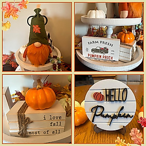 Liswit Set of 9 Fall Tiered Tray Decor with Gnome Book Stack Hello Pumpkin 3 Artificial Pumpkins & Bead for Autumn Halloween Thanksgiving Harvest Decoration Home Decor Set