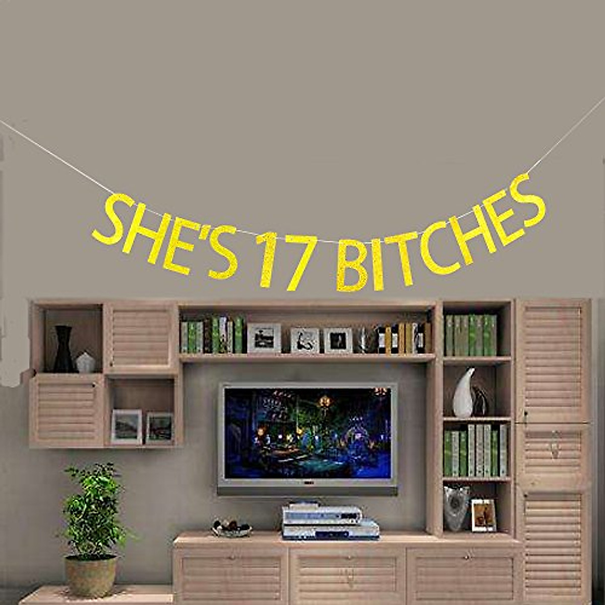 She's 17 bitches banner for 17th birthday party decorations funny hanging gold banner Risehy