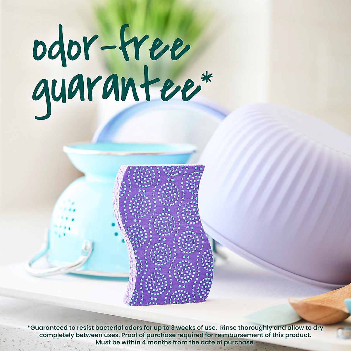 Scotch-Brite Scrub Dots Non-Scratch Scrub Sponge, Rinses Clean, For Washing Dishes and Cleaning Kitchen, 6 Scrub Sponges