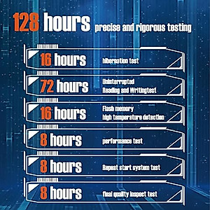 LEVEN JPS600 1TB PCIe NVMe Gen3x4 PCIe M.2 2280 SSD with Thermal Pad and Heat Sink