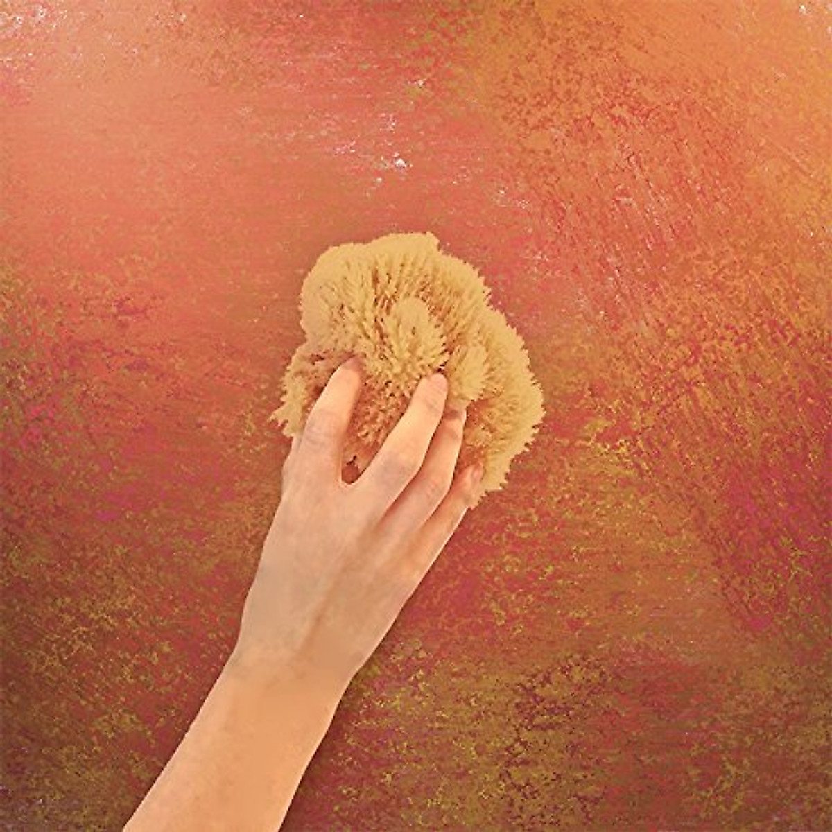 Natural Sea Sponges for Artists - Unbleached 5"-5.5" 2pc Value Pack: Great for Painting Decorating Texturing Sponging Marbling Effects Faux Finishes Crafts & More