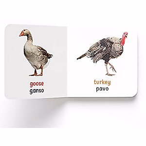 My First English - Español Learning Library (Mi Primera English - Español Learning Library): Boxset of 10 English - Spanish Board Books (Spanish Edition)