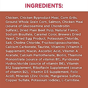 IAMS PROACTIVE HEALTH High Protein Adult Dry Cat Food with Chicken & Salmon Cat Kibble, 6 lb. Bag