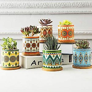 COLOAPT Succulent Plant Pots - 3.1 inch Ceramic Succulent Planter -Cylinder Flower Pots for Cactus with Drainage Hole and Bamboo Tray, 6 Pack (Multicolor1)