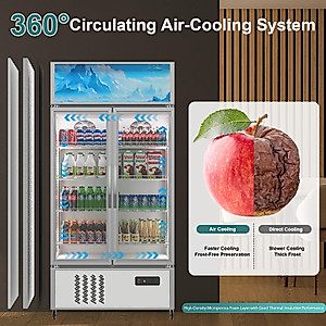 18 Cu. Ft. Commercial Refrigerators Glass Door, Commercial Beverage Fridge, Commercial Merchandiser Refrigerator for Beer, Bar, Drink, Display Upright Beverage Refrigerator Cooler, Silver ﻿