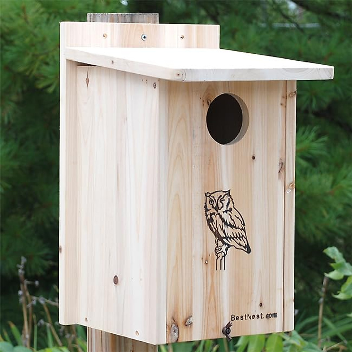 BestNest Premium Screech Owl/Kestrel House