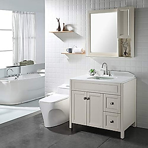 PARLOS Swivel Spout 2-Handle Lavatory Faucet Brushed Nickel Bathroom Sink Faucet with Metal Pop-up Drain and Faucet Supply Lines, Demeter 13627