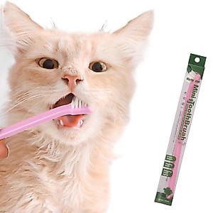 Cat Dog Toothbrush Puppy Tooth Brushing Kit Cat Dental Healthy Pink Teeth Brush for Dogs Dental Hygiene Toothbrush for Pet Kitten Bunny 1 Piece