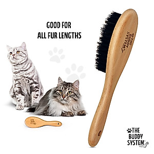 The Buddy System Cat Brush with Boar Bristle and Wooden Handle, Professional Grade Daily Grooming Hairbrush, Reduce Shedding, Soft Hair and Healthy Shine (1 Pack)