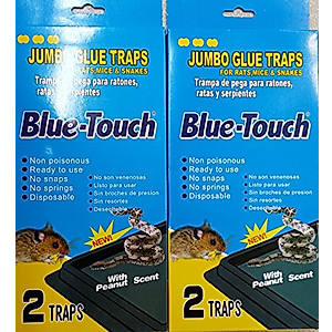 2 Packs of 2 Blue-Touch Jumbo Rat, Mice, and Snake Traps Total 4 Traps)