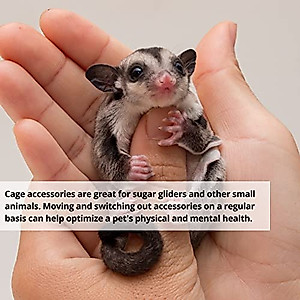 5 Pcs Sugar Glider Supplies Cage Accessories Hammock Set Hanging Cage Bed Hideout for Small Animal Pets Hamster Rat Guinea Pig Squirrel Gerbils