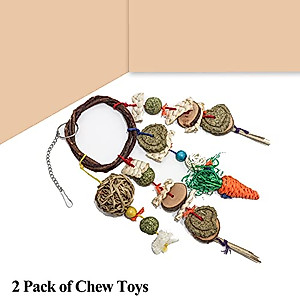 Grddaef Rabbit Chew Toys, Bunny Cage Hanging Toys Rattan Ring Treats Grinding Teeth for Rabbit Guinea Pig Chinchilla Hamster Ferret